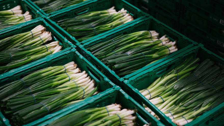 Value Chain – PAPP Logistics